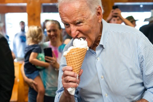 The Job-Killing, Ice Cream-Eating Liberal Democrats - Gingrich 360